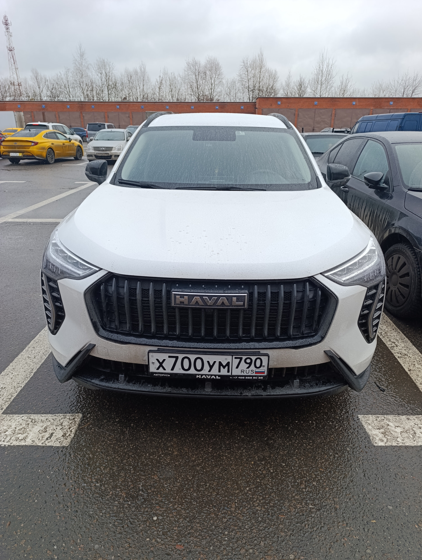 LED — вот это сила! LED без перерыва! — Haval Jolion, 1,5 л, 2023 года | стайлинг | DRIVE2