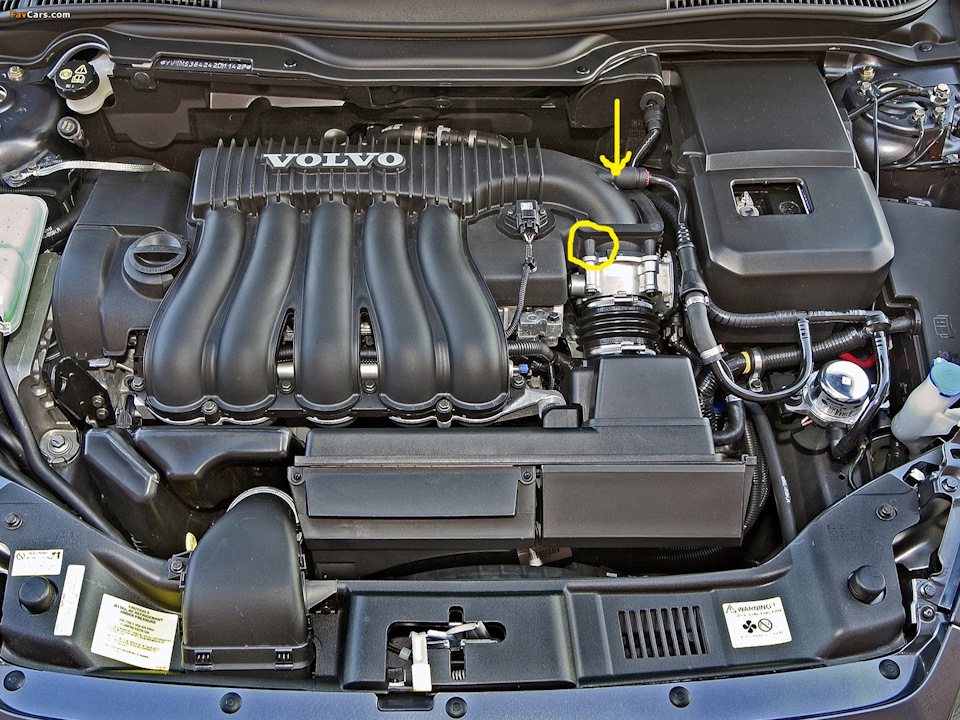 Ошибка P0441 мотор B5244S5 — Сообщество «Volvo S40 Club» на DRIVE2