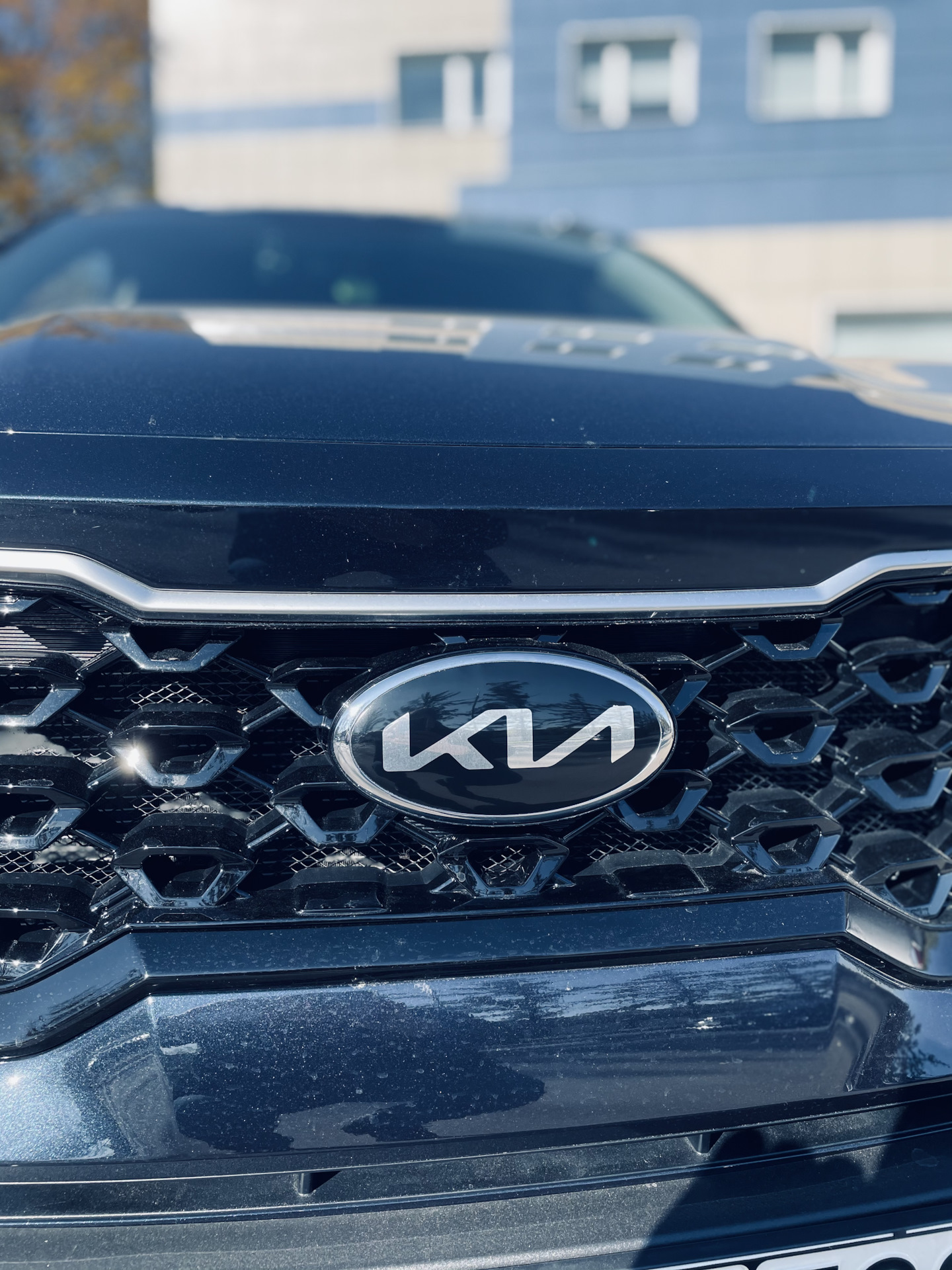 Замена эмблемы KIA на нового образца. — KIA Sorento (4G), 2,5 л, 2020 ...