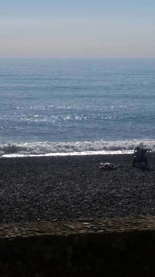 Ошибка и её решение с помощью ELM327 V1.5 OBD 2 — Lada 21124, 1,6 л, 2006 года | своими руками ...