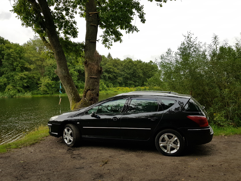 Задние амортизаторы — Peugeot 407 SW, 2 л, 2004 года | визит на сервис ...