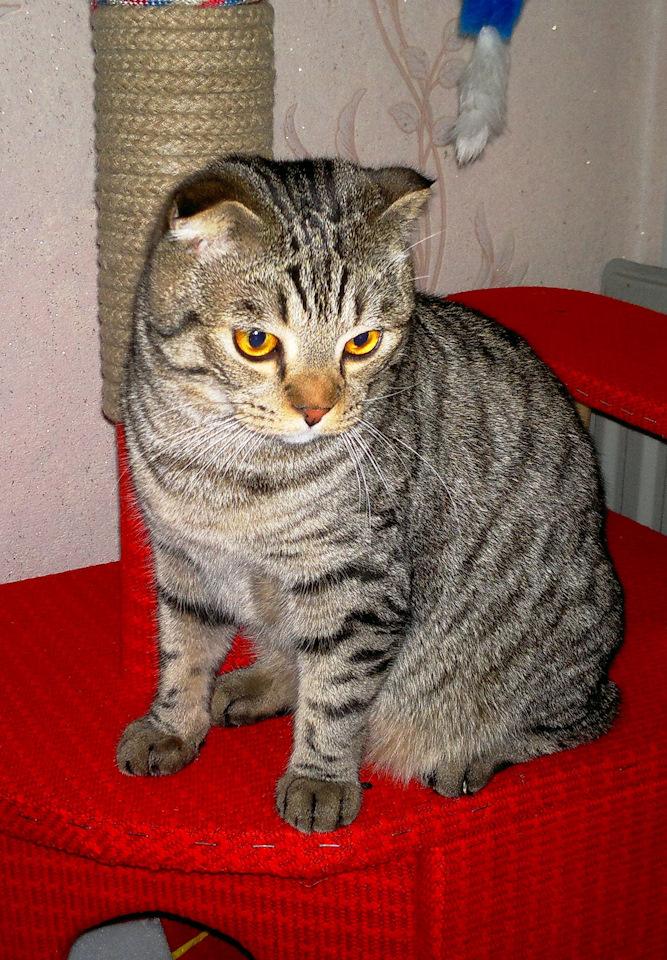 Хорошо в краю родном — 23 — DRIVE2