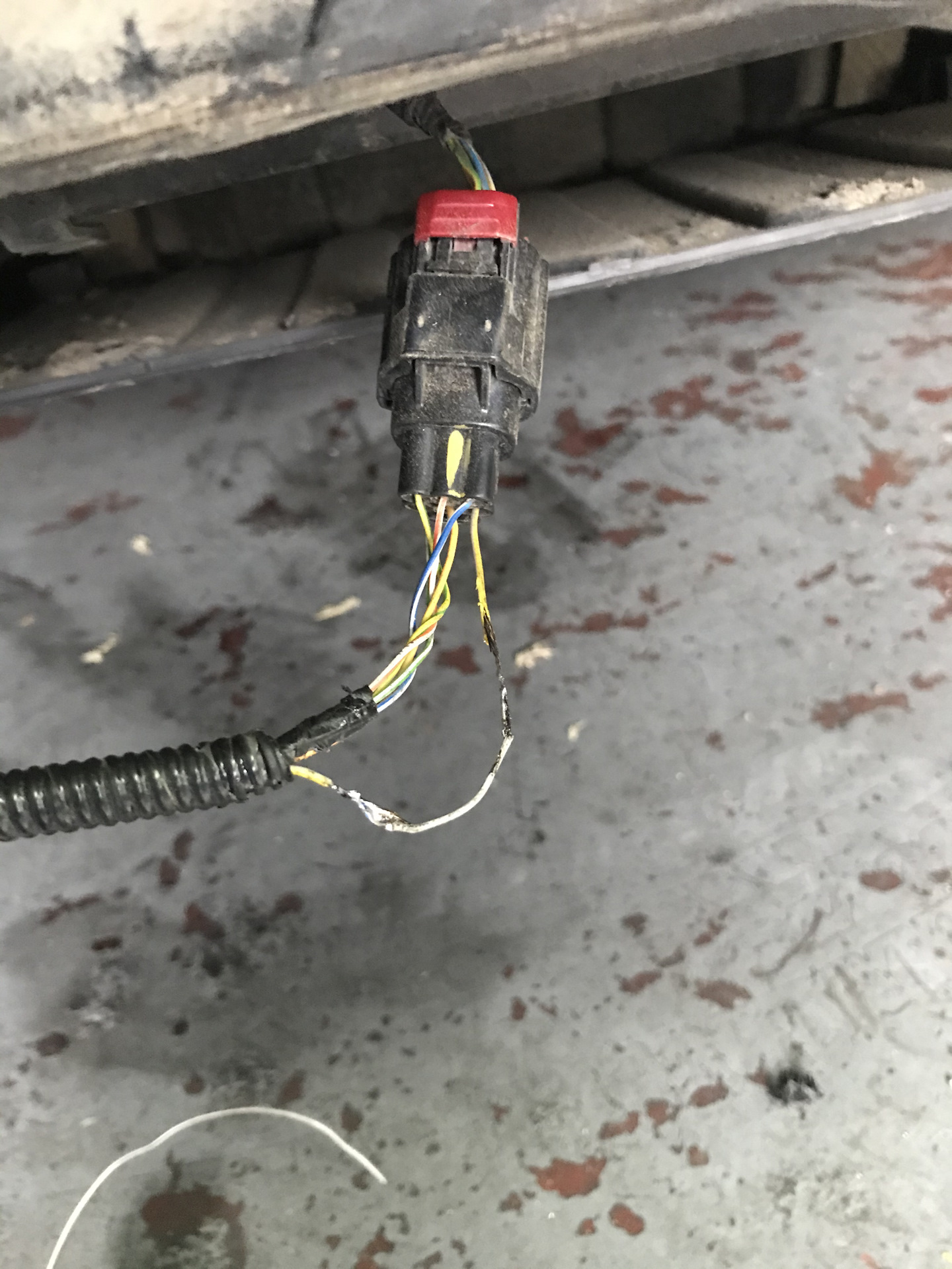 B1B46 — Land Rover Range Rover Sport (1G), 3 л, 2011 года | визит на ...