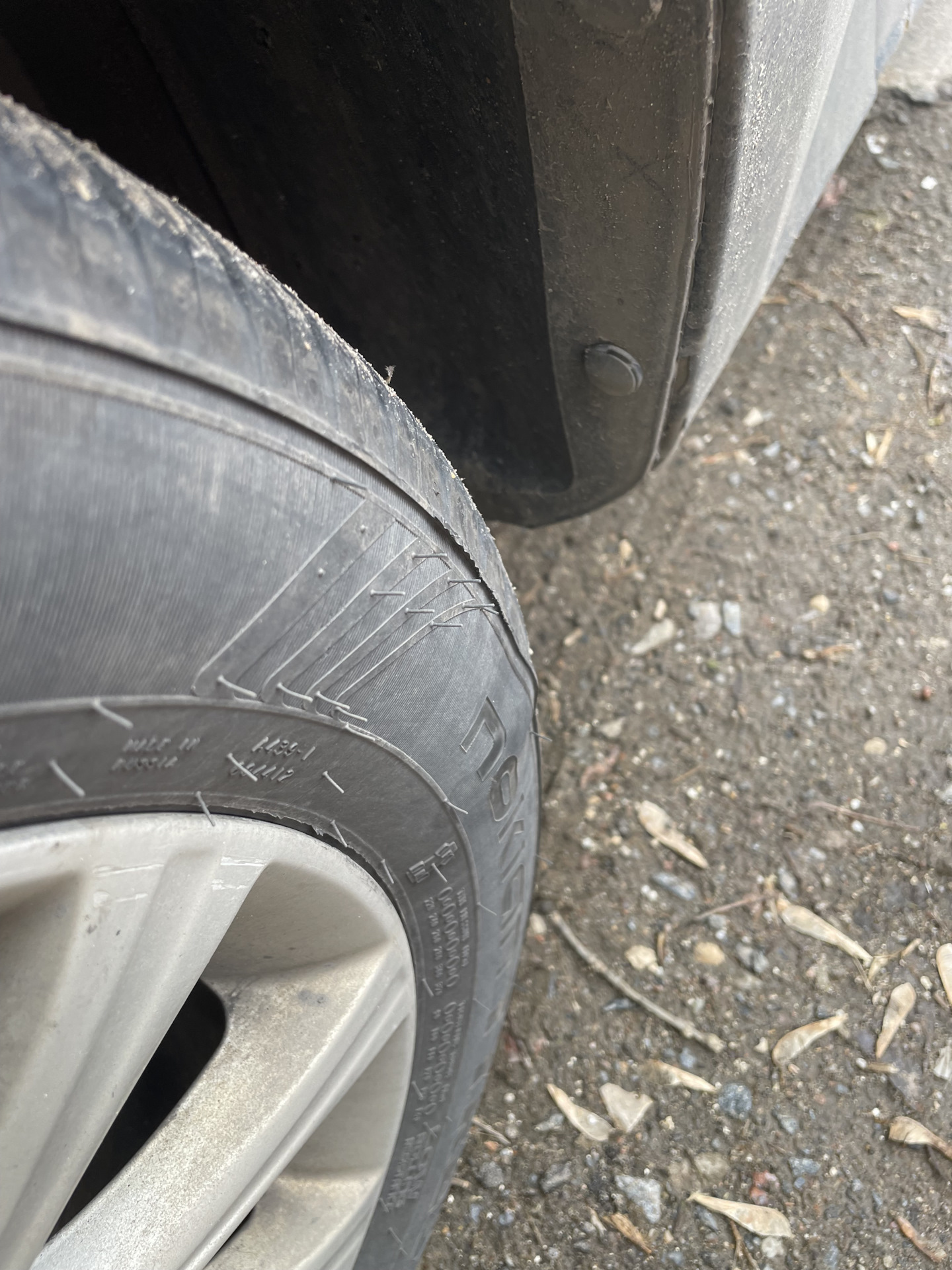 Обидно, досадно… — Audi A6 (C6), 3 л, 2004 года | шины | DRIVE2