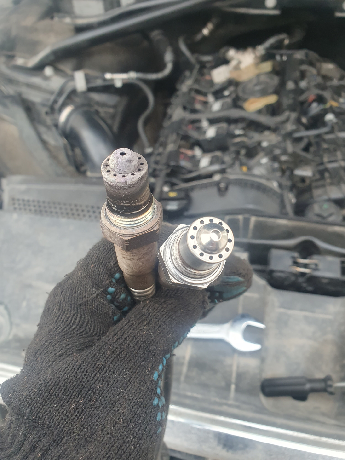 В поисках лямды — Audi Q5 (1G), 2 л., 2013 года | поломка | DRIVE2