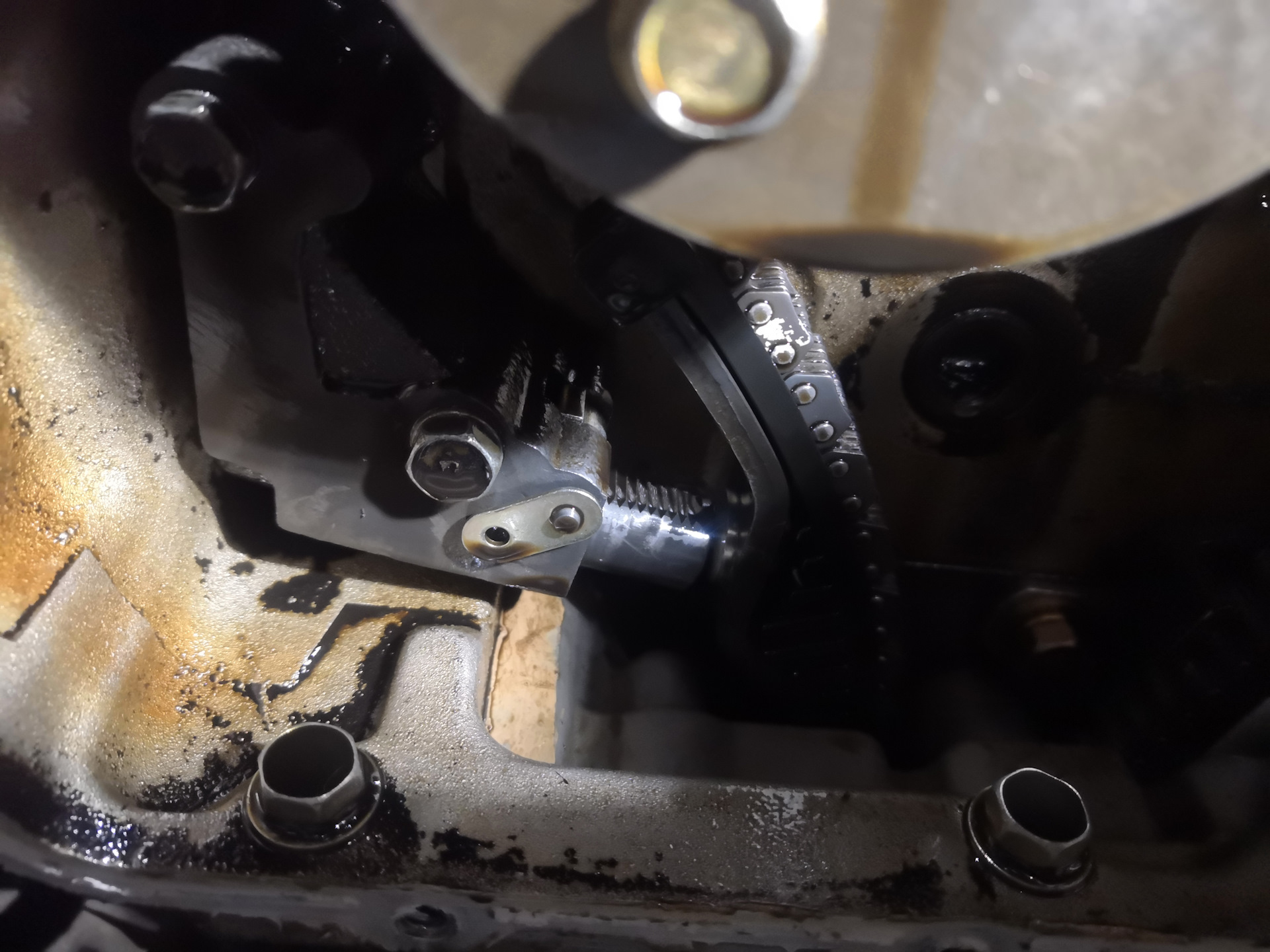 Что за зверь там сидит? — Nissan Sunny (B15), 1,5 л, 2002 года | своими ...