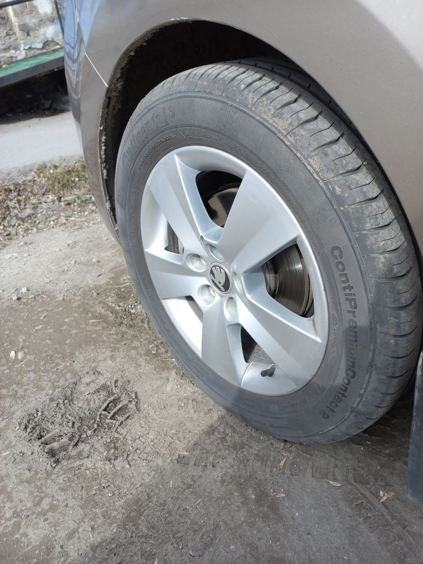 Колеса 205/55/r16 — Skoda Rapid (1G), 1,6 л, 2016 года | шины | DRIVE2