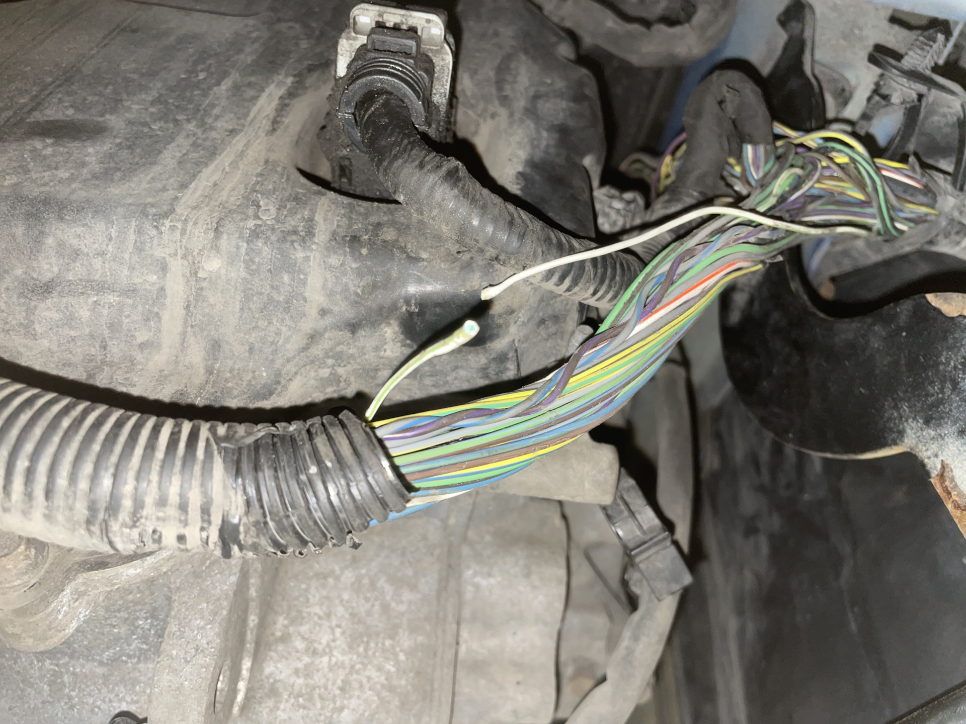 U012D Ford Kuga — DRIVE2