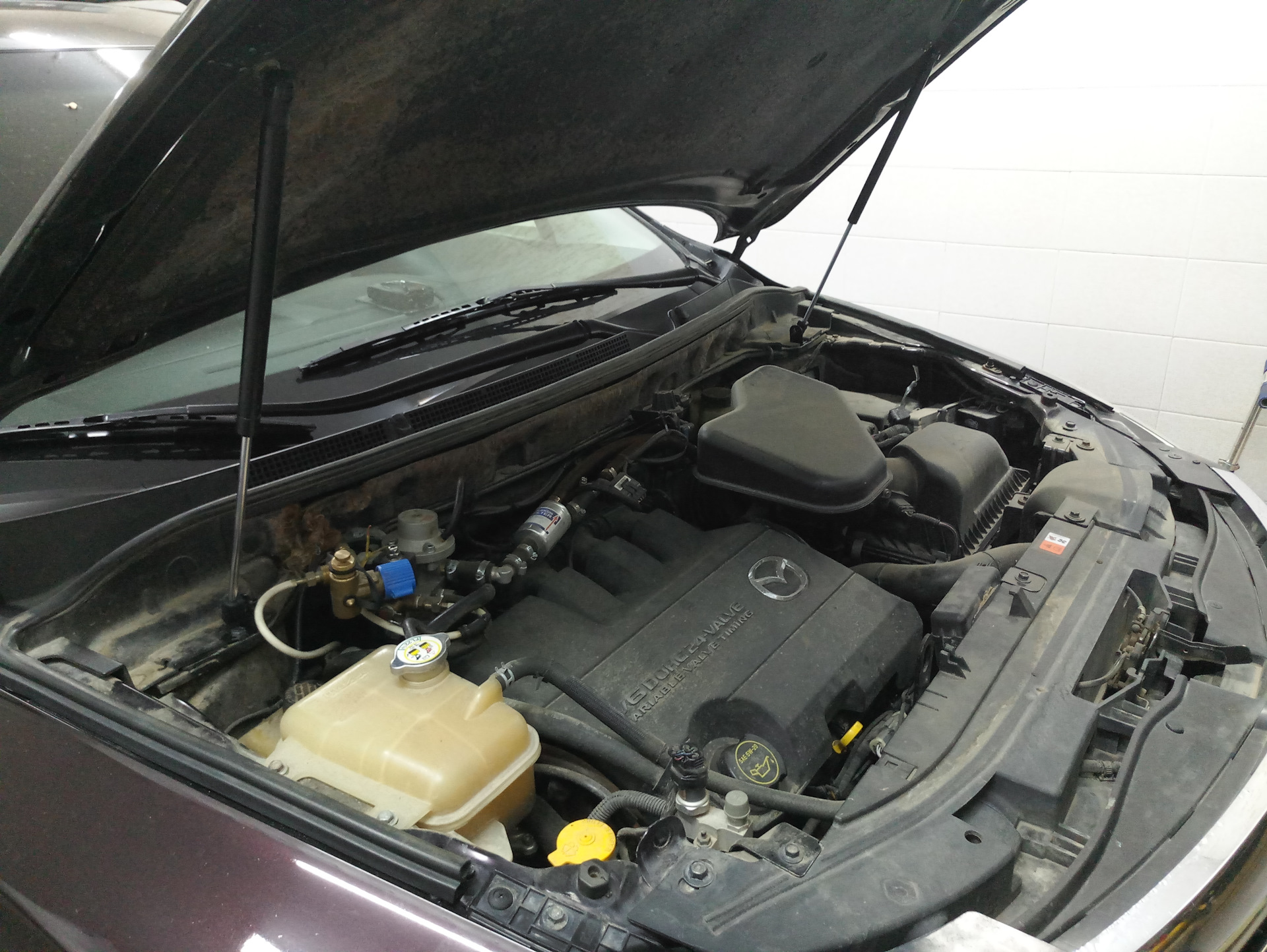 Газовые упоры капота — Mazda CX-9 (1G), 3,7 л, 2008 года | стайлинг ...