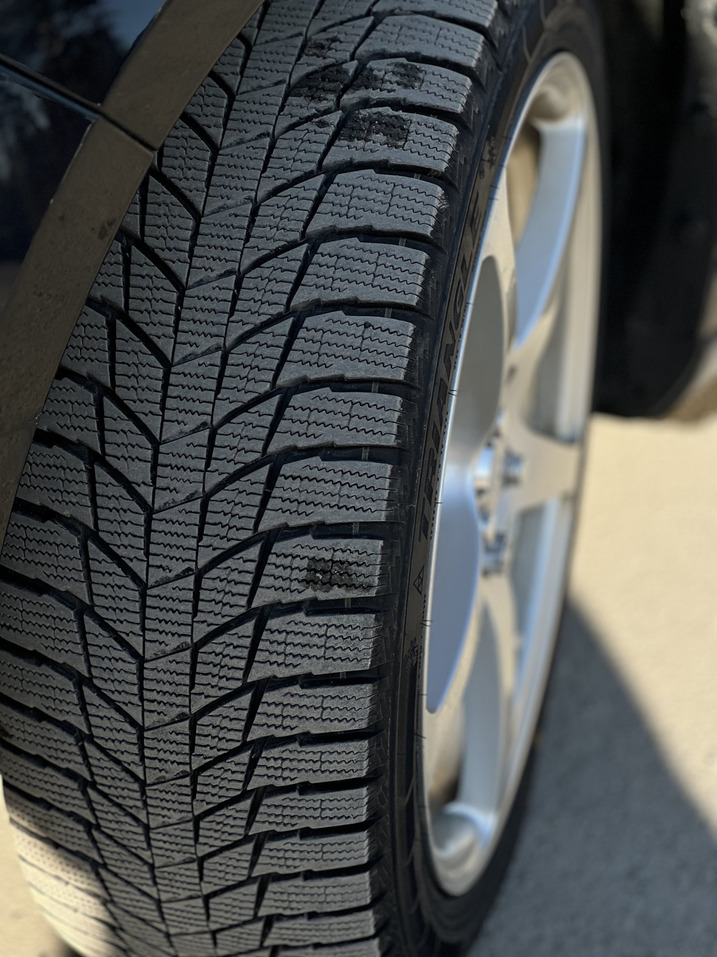 Зимняя резина Triangle PL01 205/55 R16 94R — Ford Focus Hatchback III ...