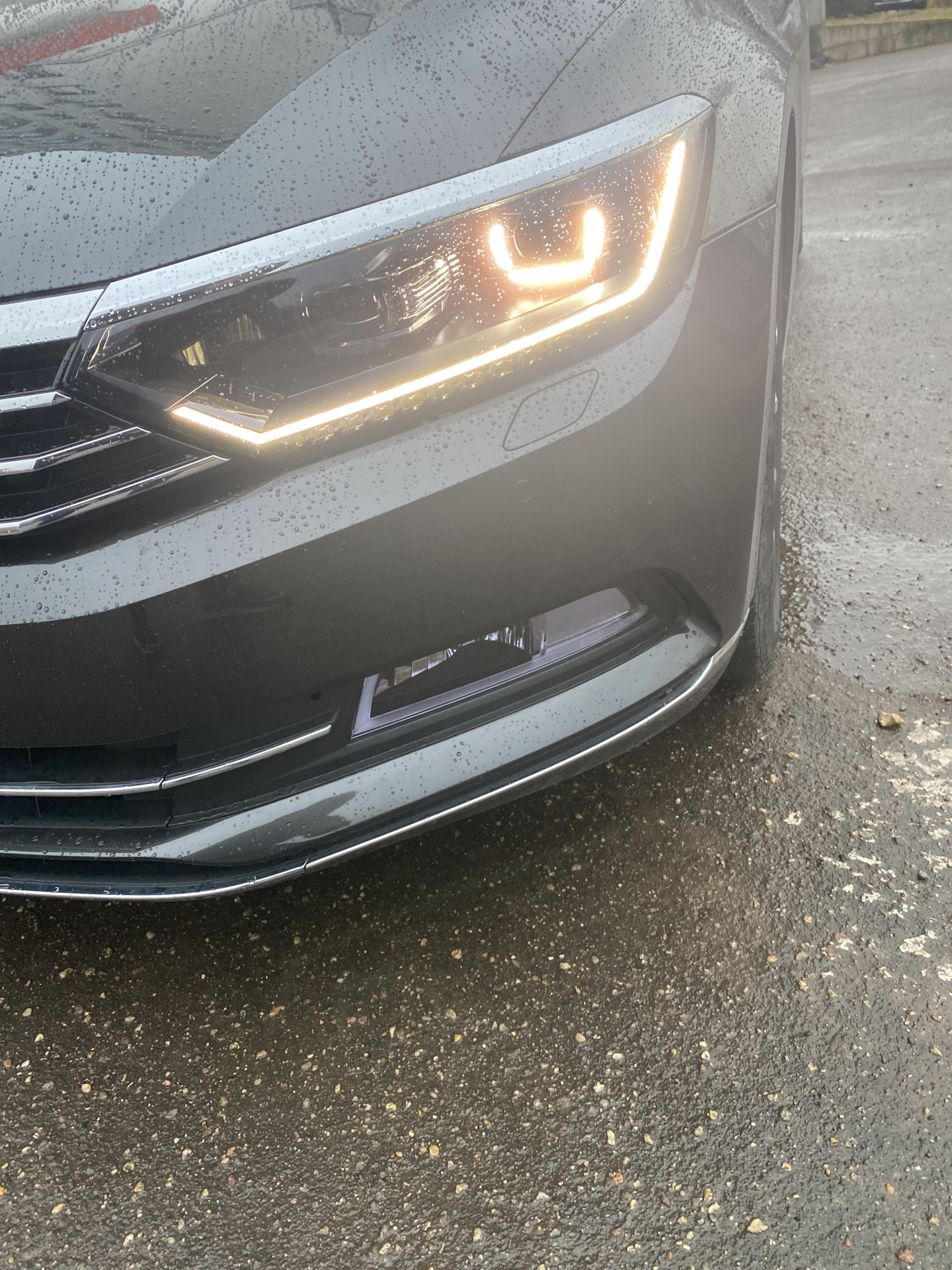 Броня, Тонировка — Volkswagen Passat Variant (B8), 2 л, 2017 года ...