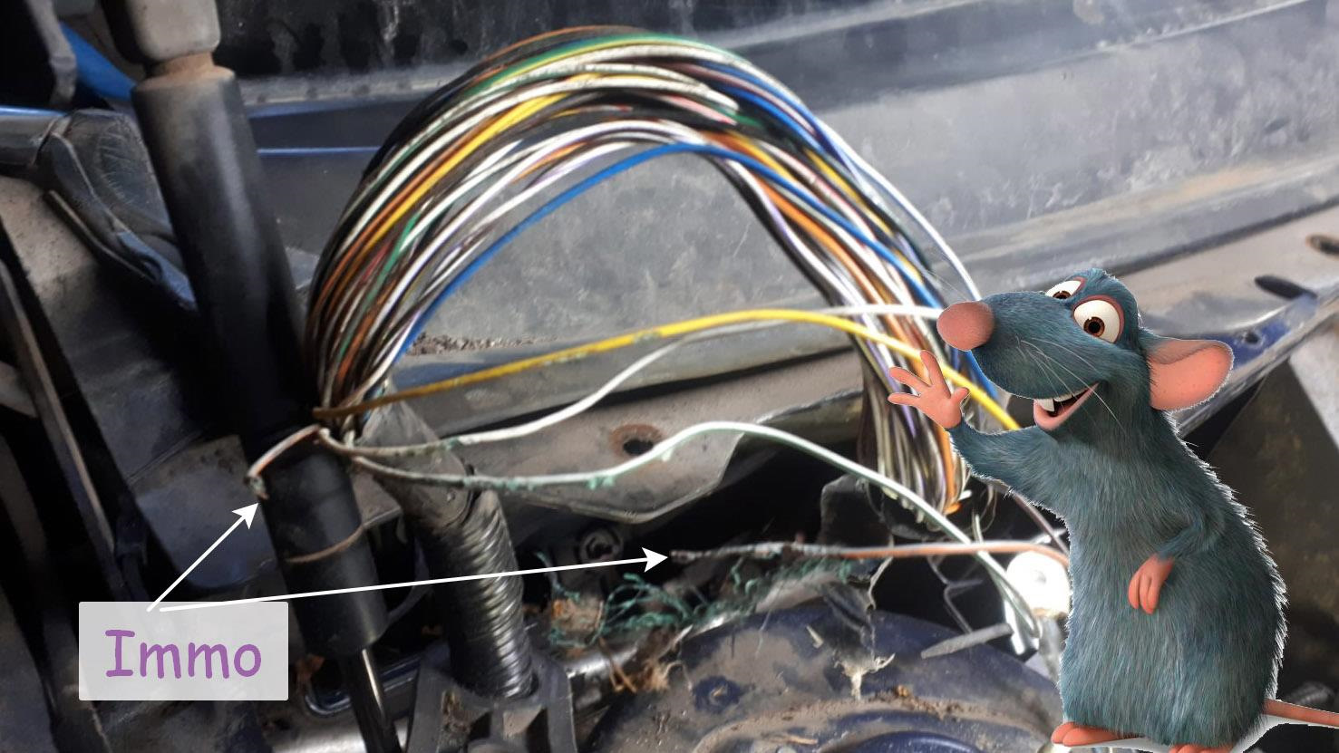 B1681 неисправность трансивера PATS — Ford Mondeo III, 1,8 л, 2006 года | поломка | DRIVE2