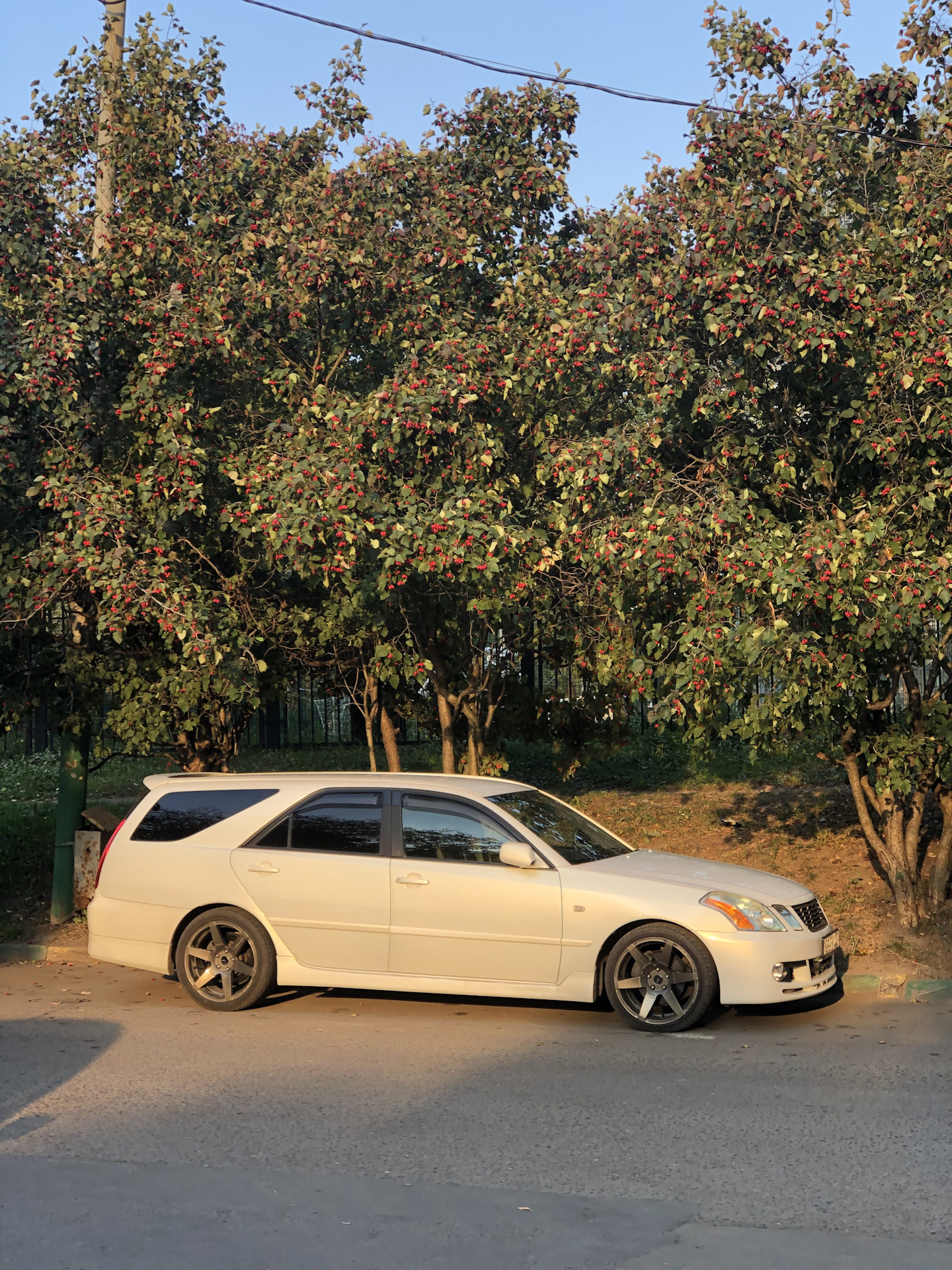 Shogun a1 — Toyota Mark II (100), 2,5 л, 2000 года | шины | DRIVE2