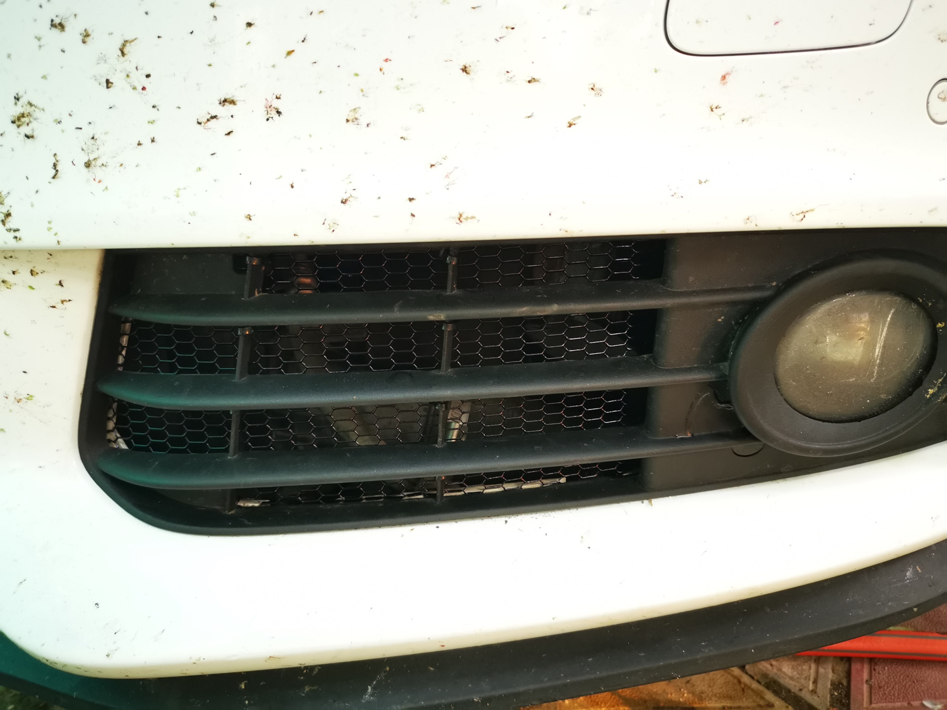 Решетка радиатора, решетки птф RS — Audi a4 b8 — Audi A4 (B8), 2 л ...