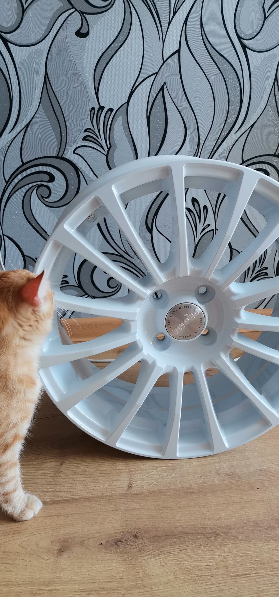 Наконец — то дождался, 7Jx17 et45 4x100 Proma Wheels Tsunami White ...