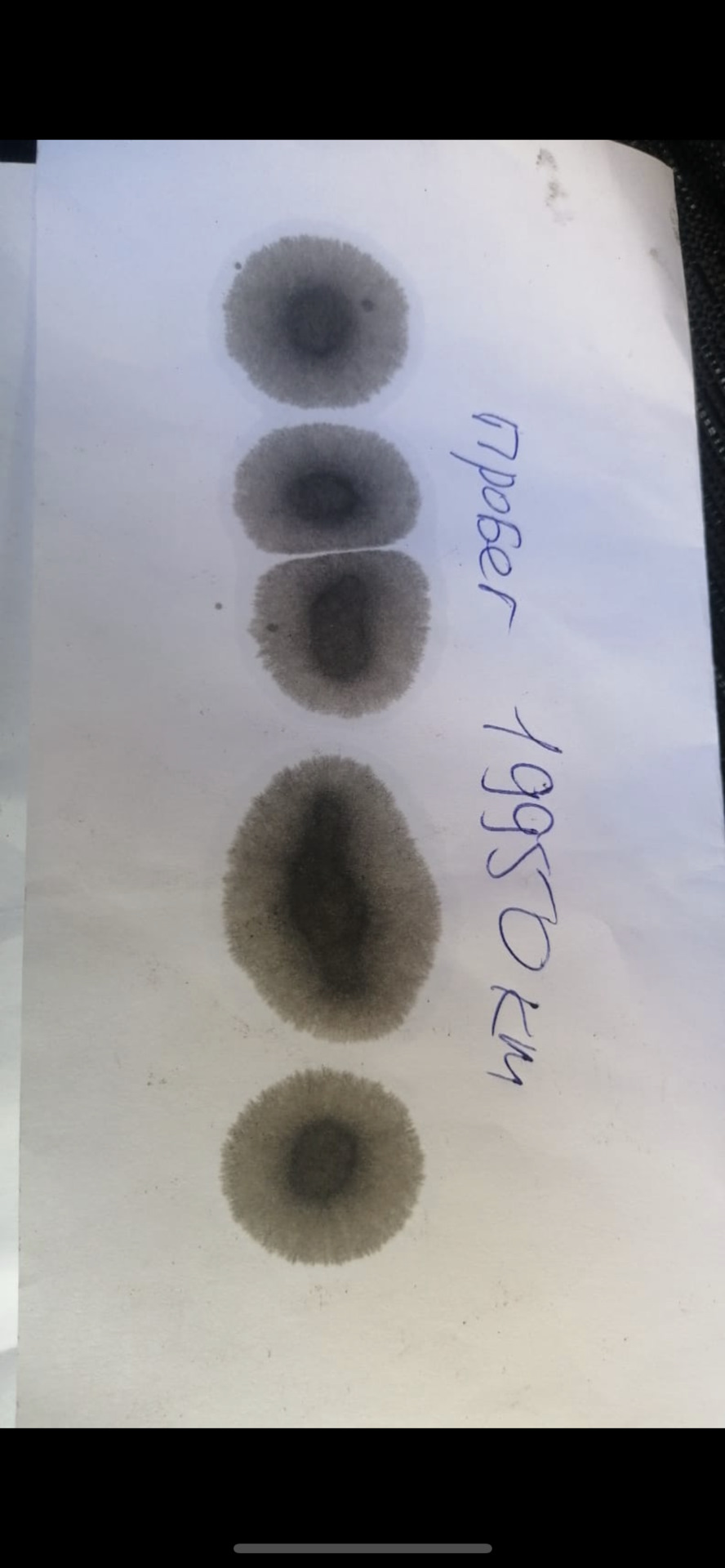 Давление масла. P164D 00 — сбой в работе. — Сообщество «Volkswagen Club ...