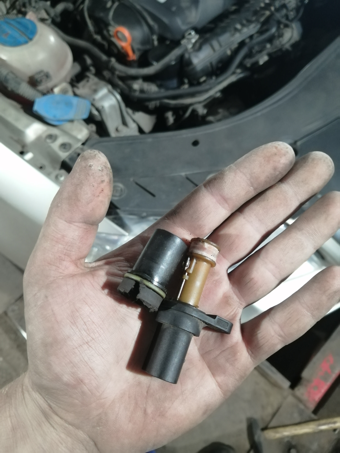 Ошибка P0321, замена датчика коленвала, 1.8TSI (BZB). — Volkswagen ...