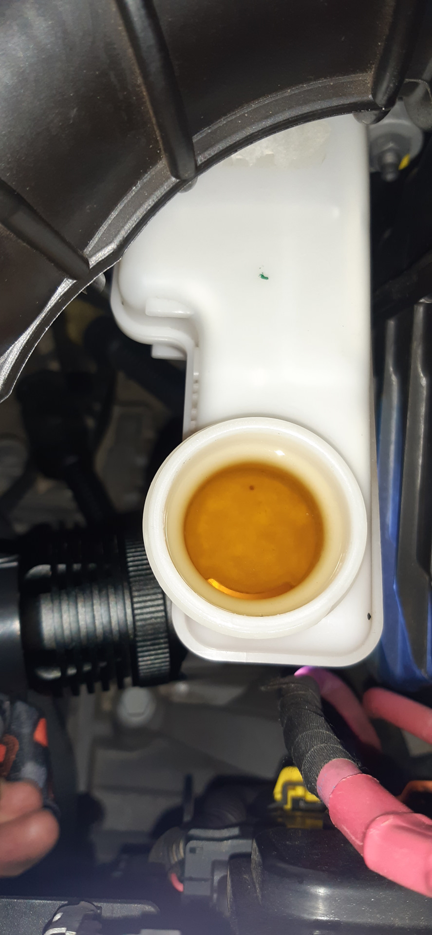 Отзыв о тормозной жидкости Elf Frelub 650 Dot 4 — Renault Megane II, 1 ...