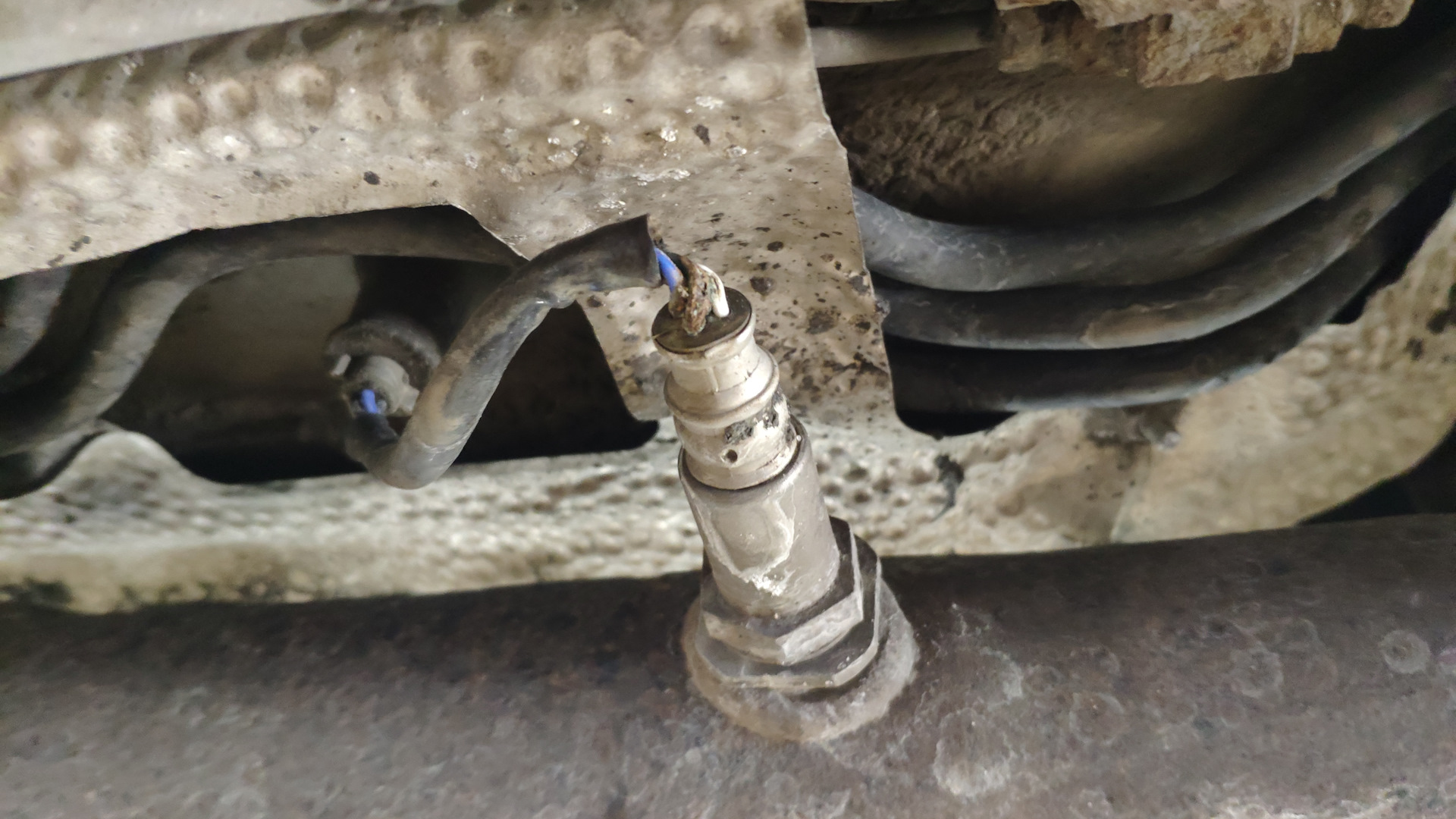 P0031 p0051 (решено) — Lexus IS II, 2,5 л, 2005 года | поломка | DRIVE2