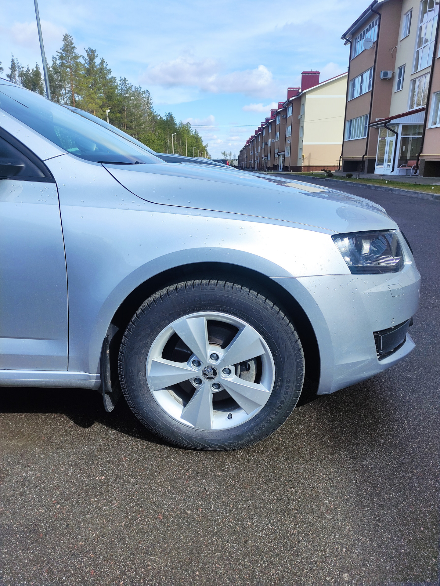 Подскажите с выбором размера шин на зиму на 16 — Skoda Octavia A7 Mk3 ...