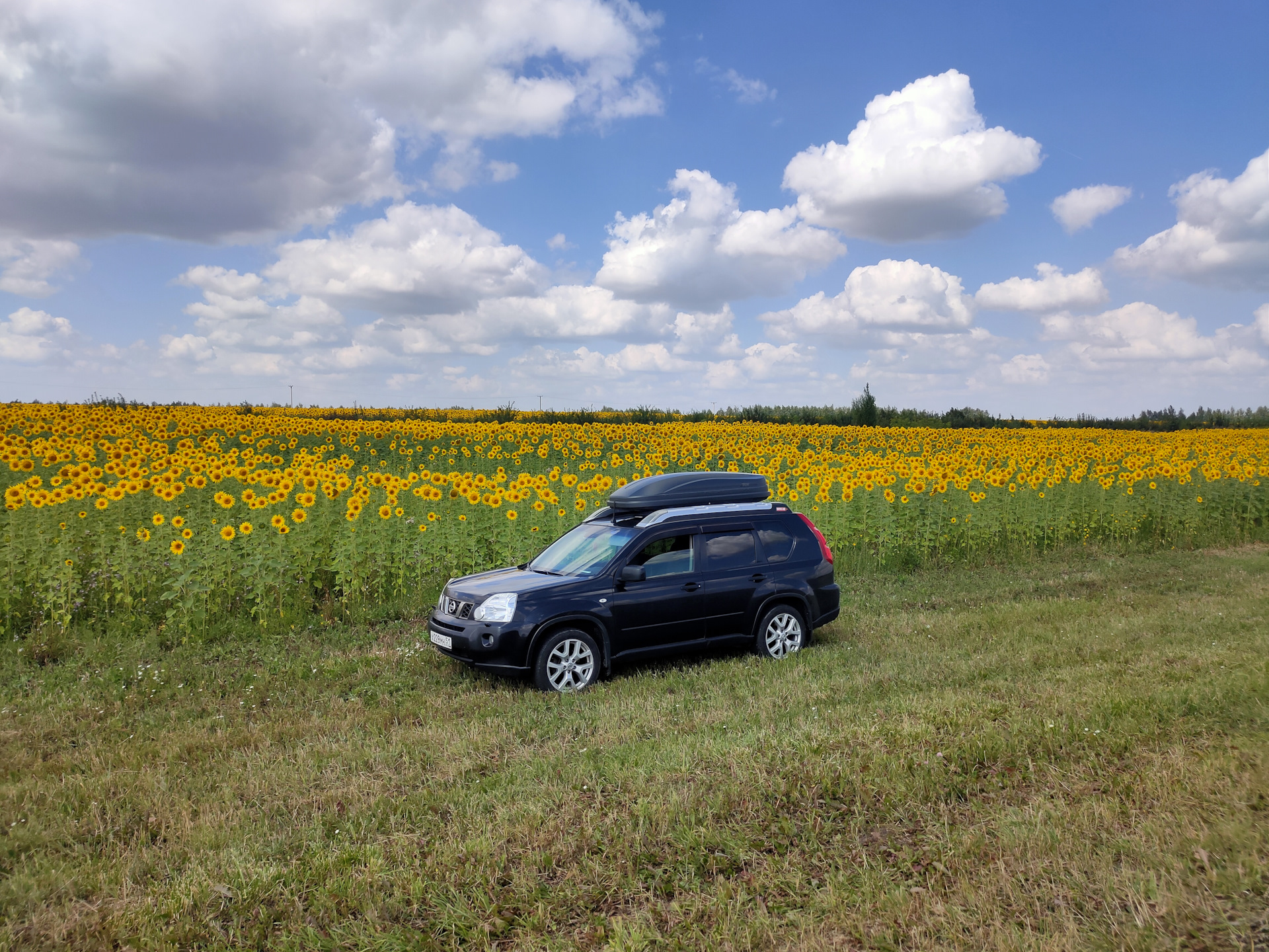 Багажник — Nissan X-Trail II (t31), 2 л, 2013 года | своими руками | DRIVE2