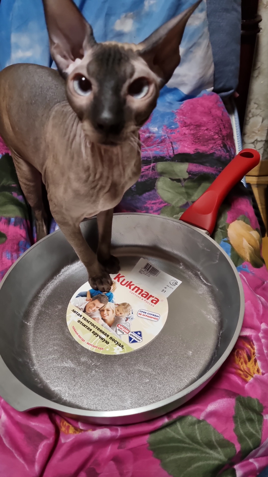 Запись, 18 июня 2022 — DRIVE2