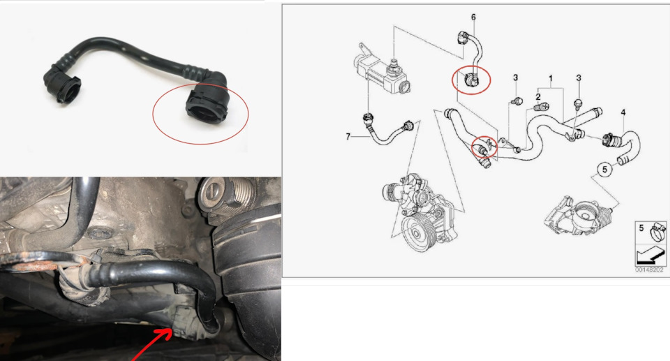 Каталожные номера и размеры колец в системе охлаждения bmw. Колечки ...