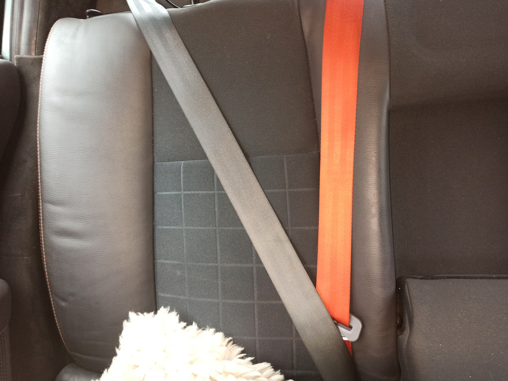 Подлокотник спорт — Renault Megane II, 1,4 л, 2005 года | стайлинг | DRIVE2