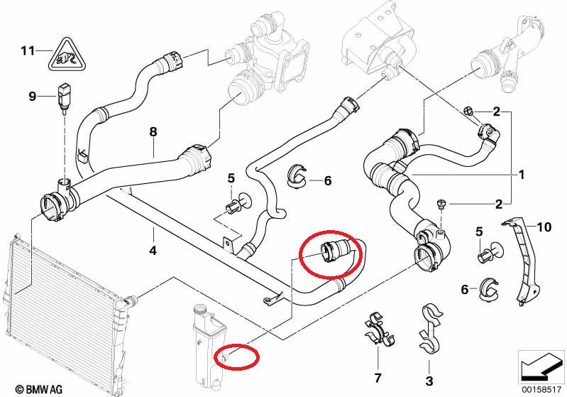 Каталожные номера и размеры колец в системе охлаждения bmw. Колечки ...